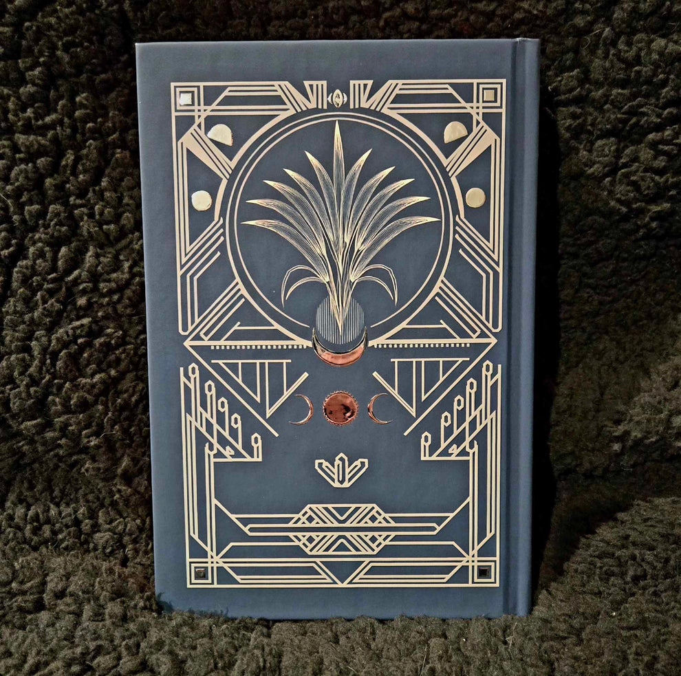 Mated to the Viking Alpha SPECIAL EDITION – Blake R. Wolfe